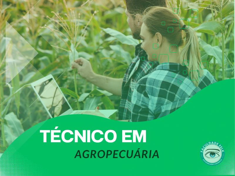 Técnicos – Faculdade Felk